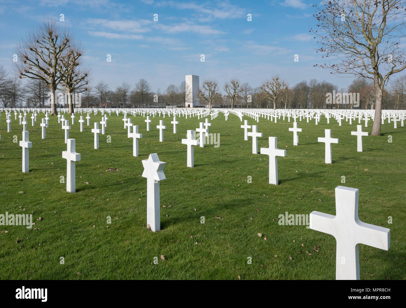 Cemetery with Crosses and Star of David, American Military Cemetery ...