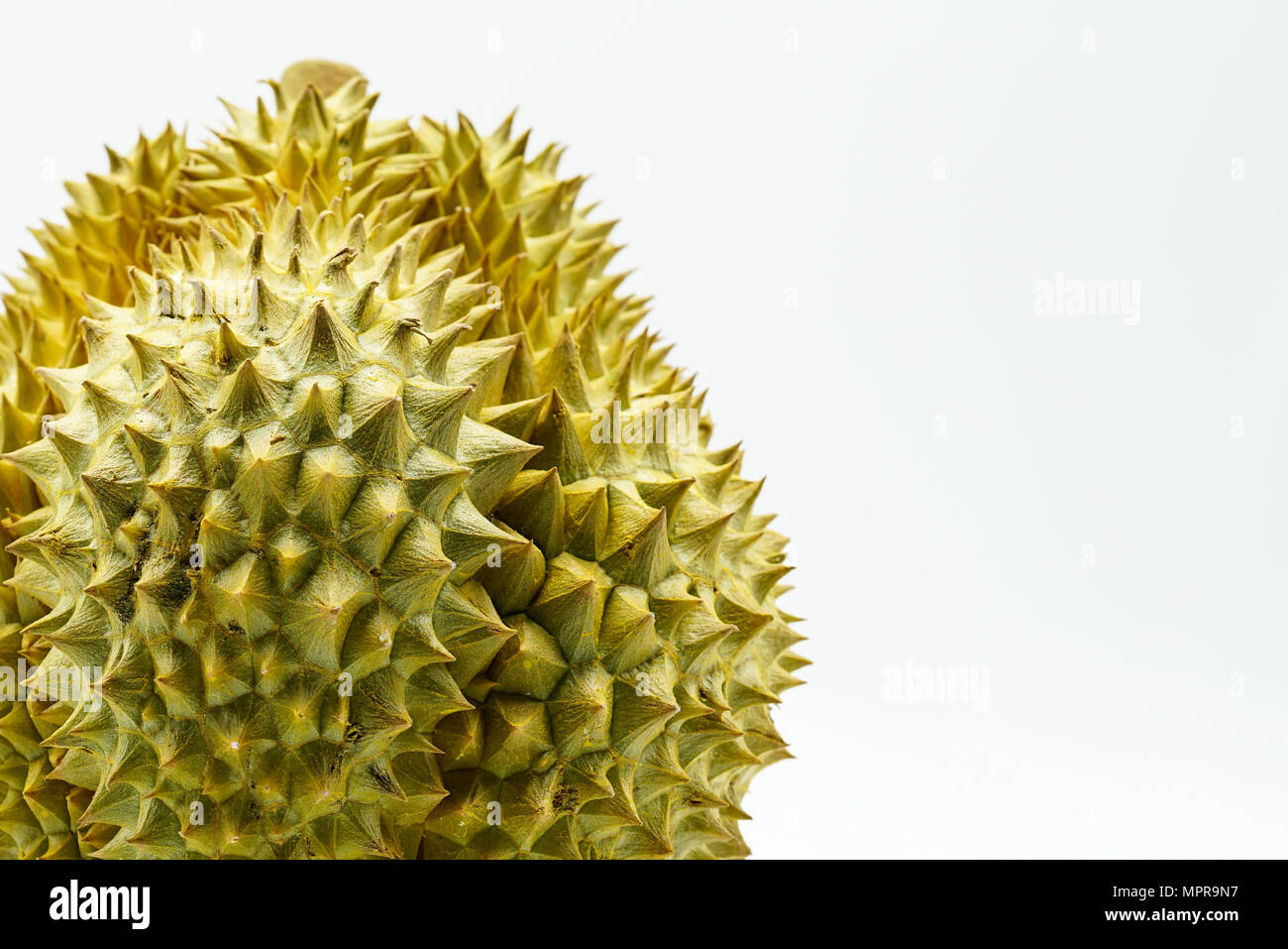 Fresh Cut Monthong Durian on white background,closeup view of Durian ...