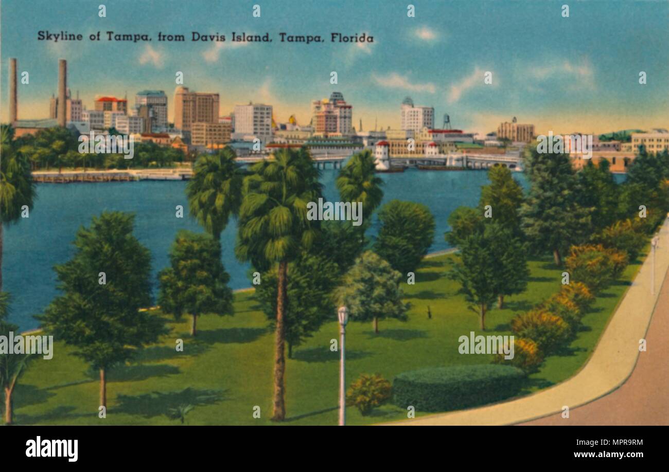 Davis Island Zip Code