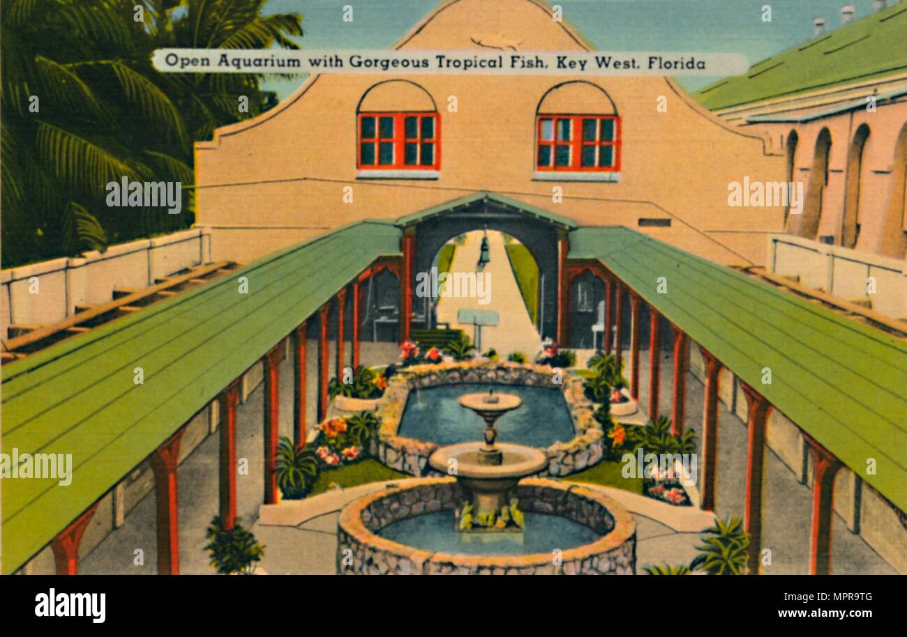 'Open Aquarium with Gorgeous Tropical Fish, Key West, Florida', c1940s ...
