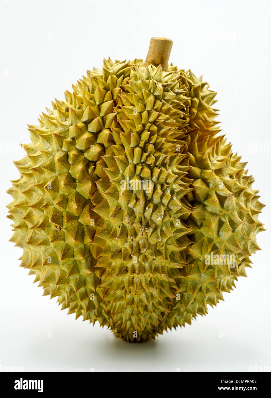 Fresh Cut Monthong Durian on white background,closeup view of Durian ...