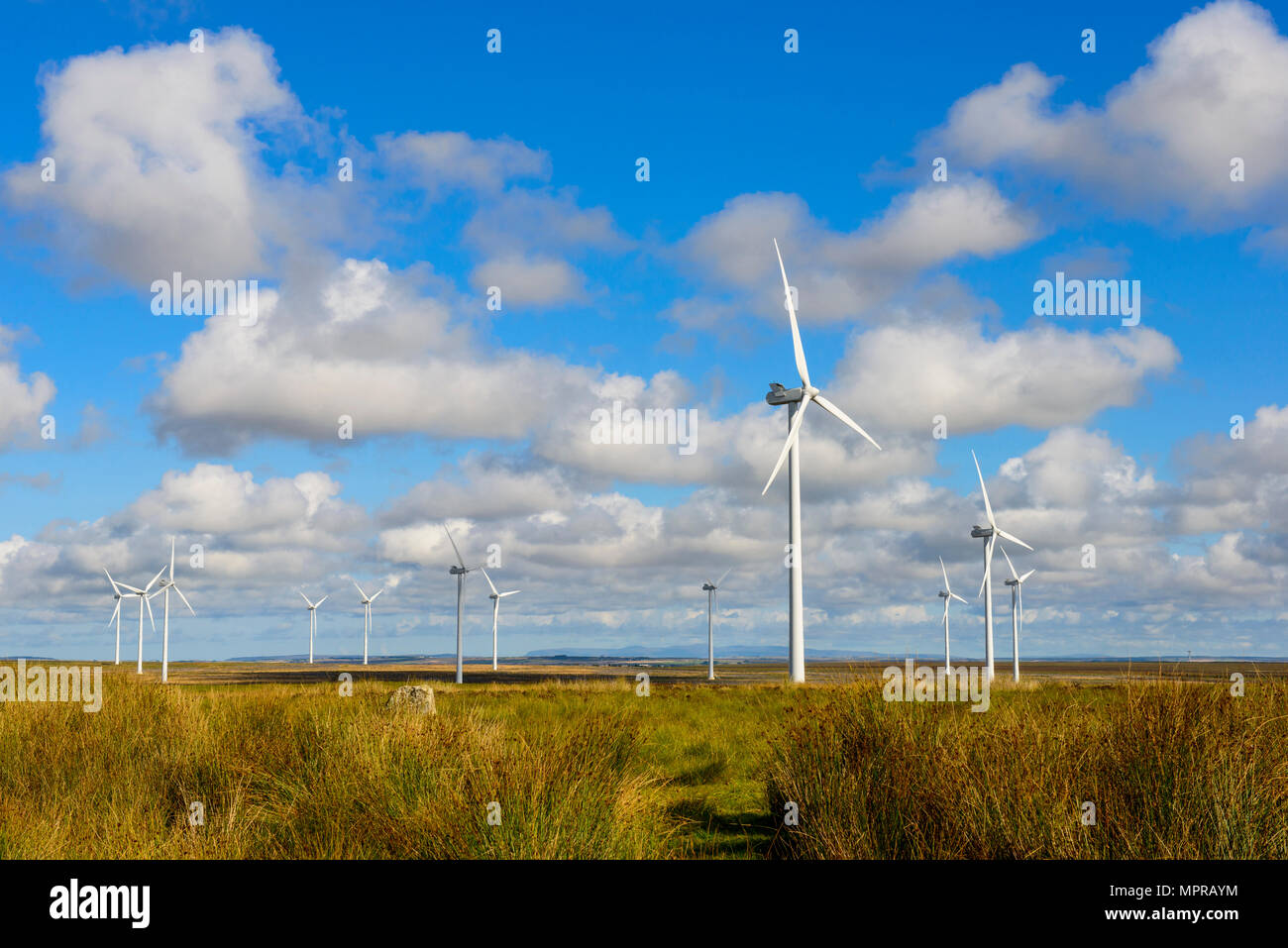Scottish wind farms hi-res stock photography and images - Alamy