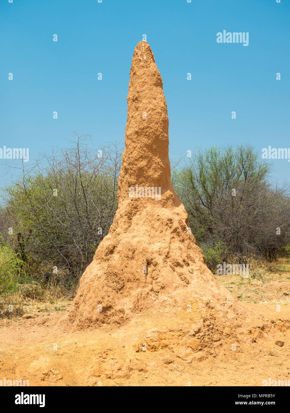 Africa, Namibia, termite hill Stock Photo - Alamy