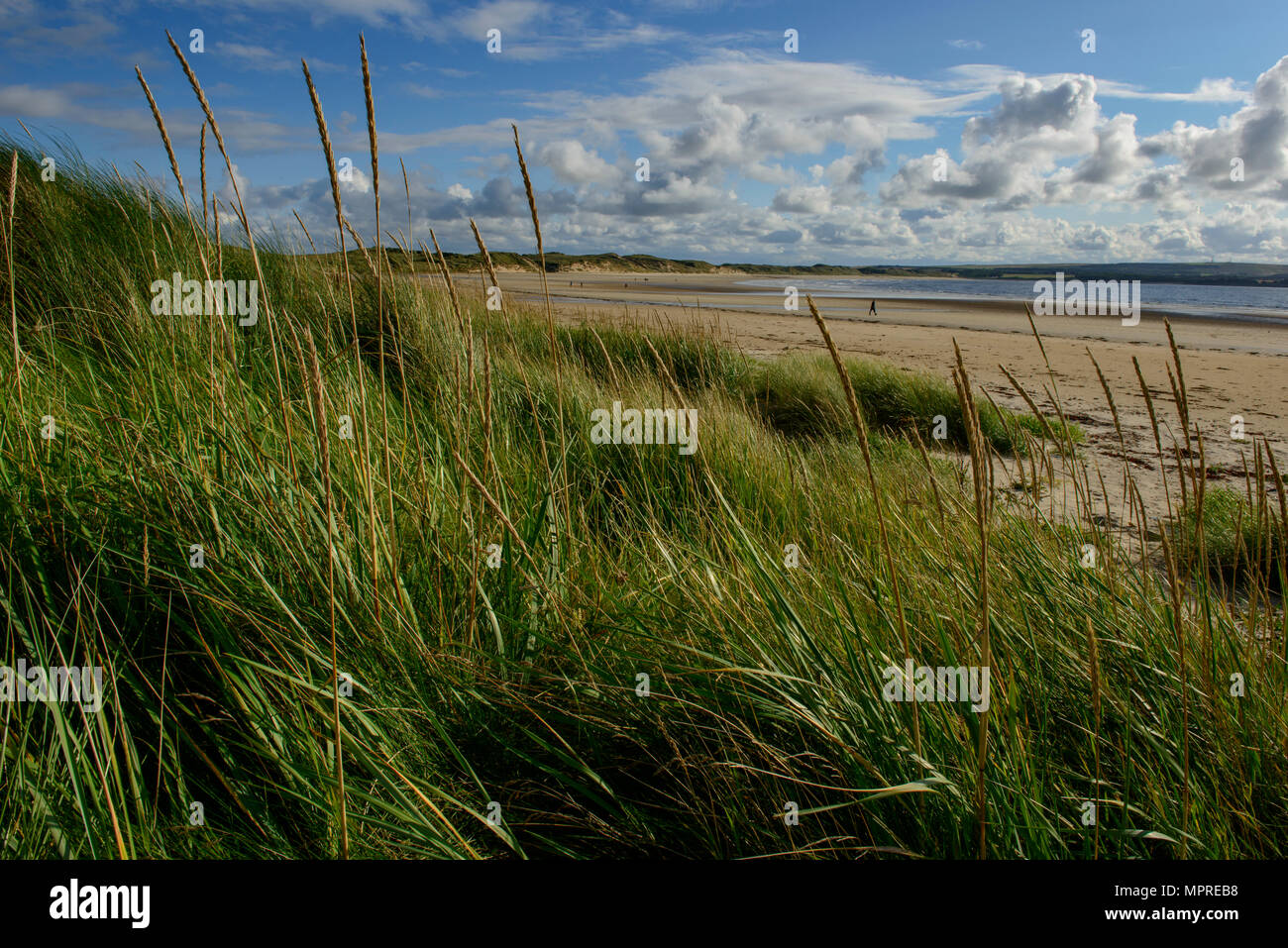 United Kingdom, Scotland, Highland, Sutherland, Caithness, Thurso ...