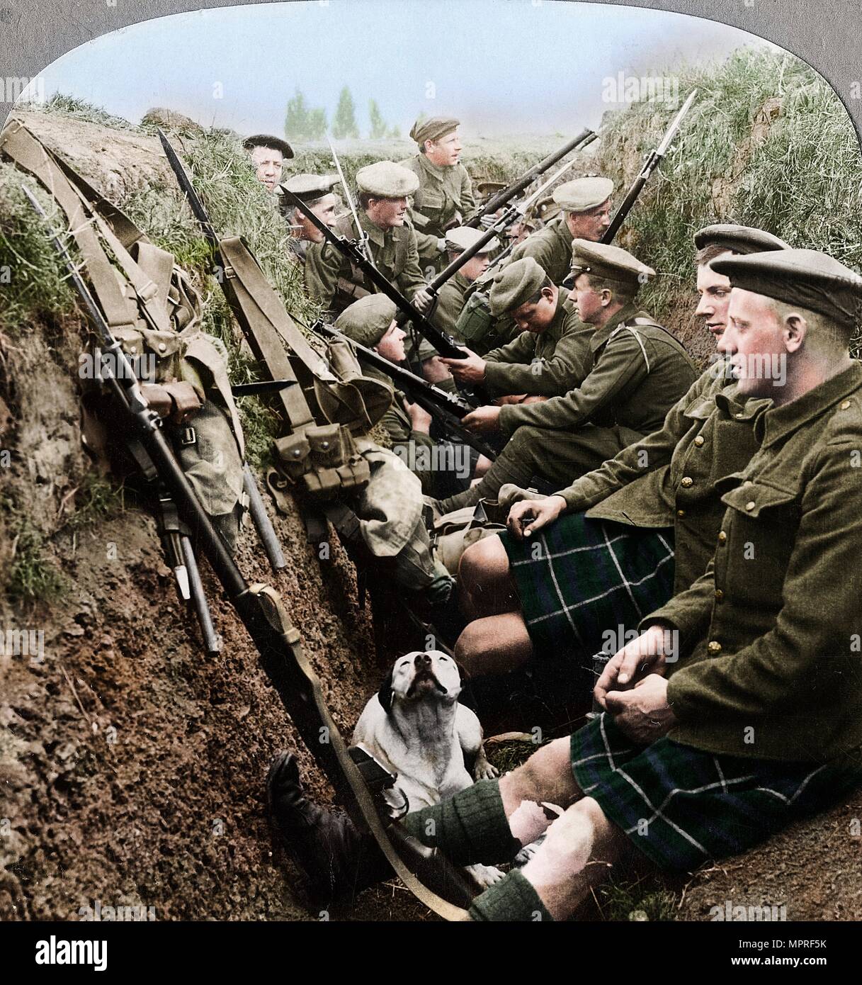 Seaforth Highlanders Badges