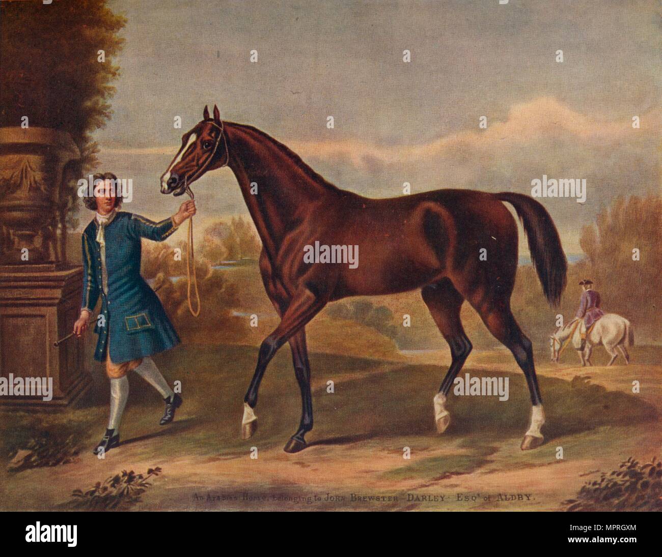 'The Darley Arabian', c1720, (1922). Artist: Unknown Stock Photo - Alamy