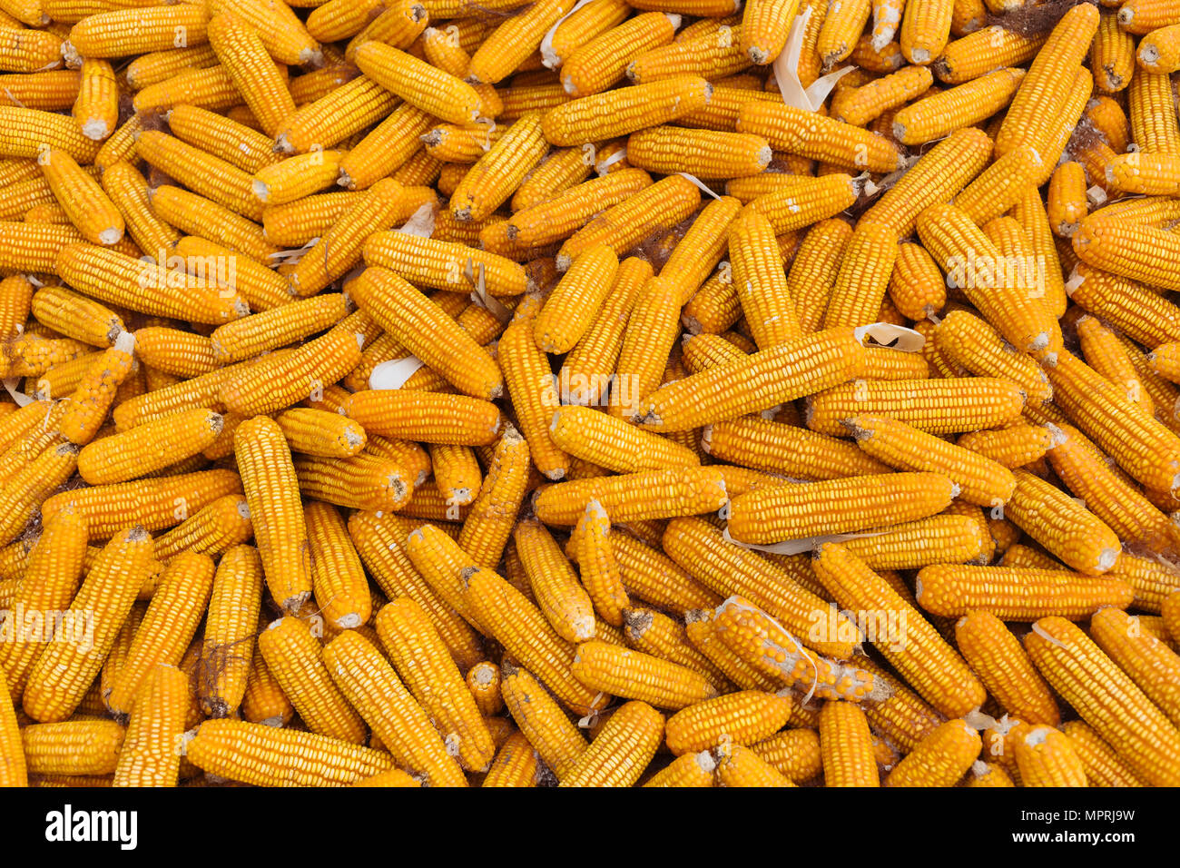 Piles of corn hi-res stock photography and images - Alamy