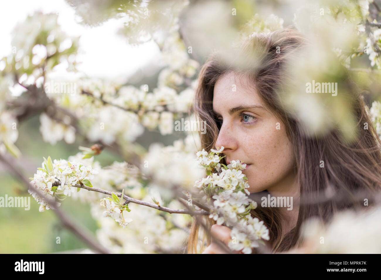 Olfactio hi-res stock photography and images - Alamy