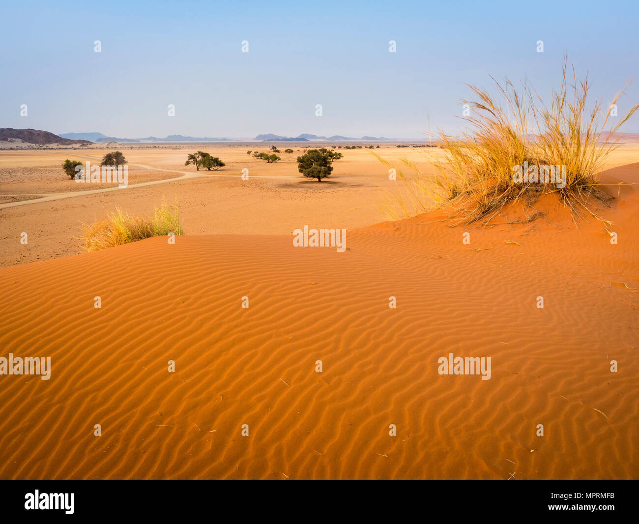 Elim namibia hi-res stock photography and images - Alamy