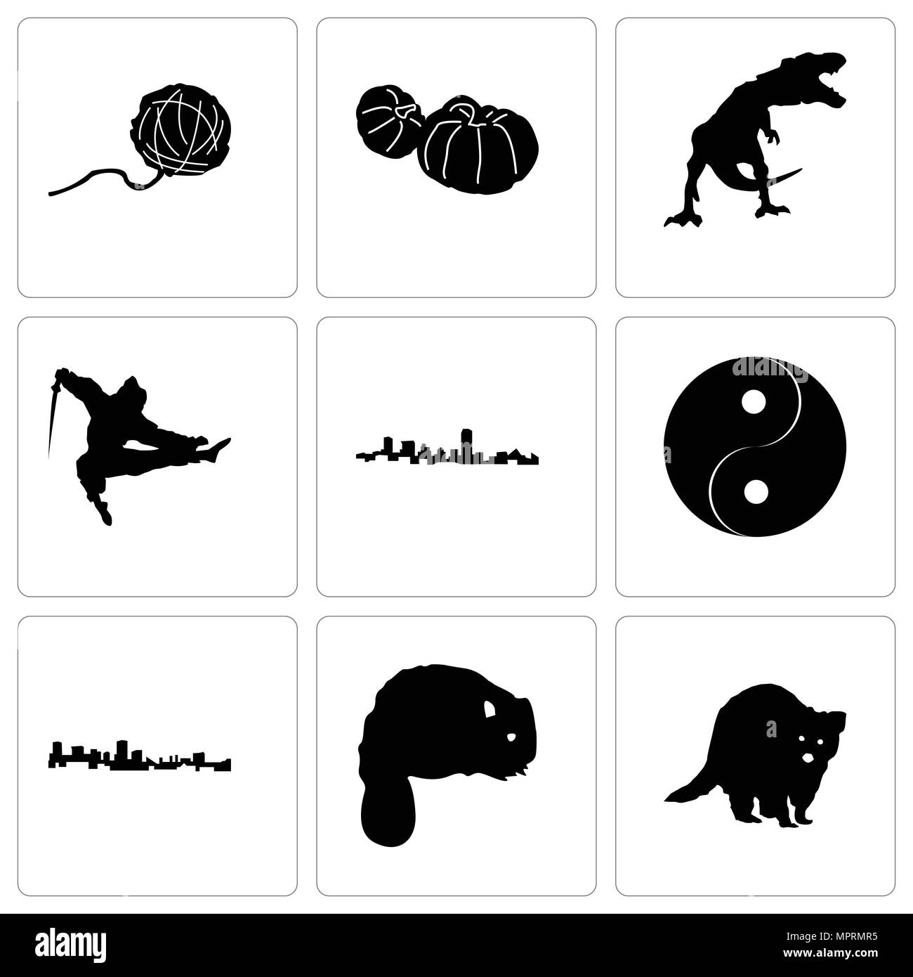 Raccoon yang hi-res stock photography and images - Alamy