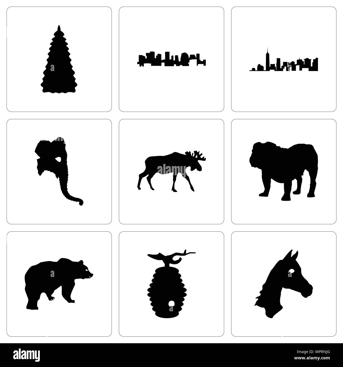 Tree png vector Black and White Stock Photos & Images - Alamy
