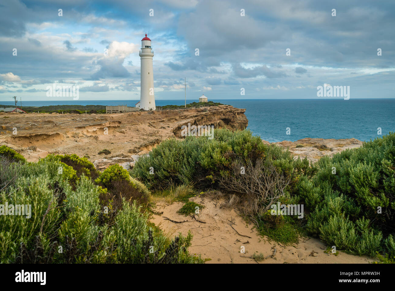 Cape Nelson State park and its lighthouse in the summer Stock Photo - Alamy