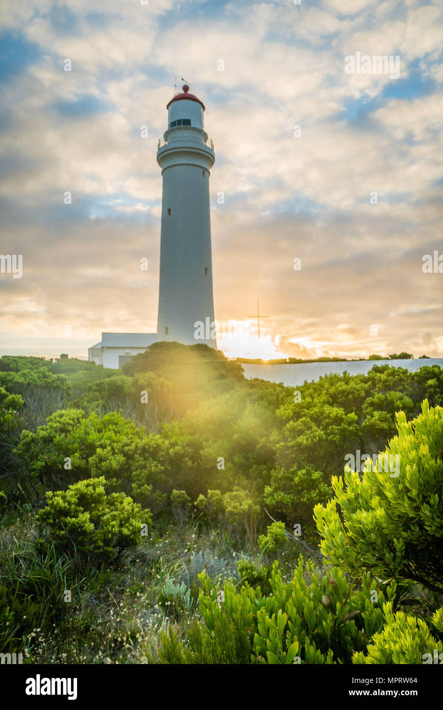 Cape Nelson white lighthouse backlit at sunset Stock Photo - Alamy