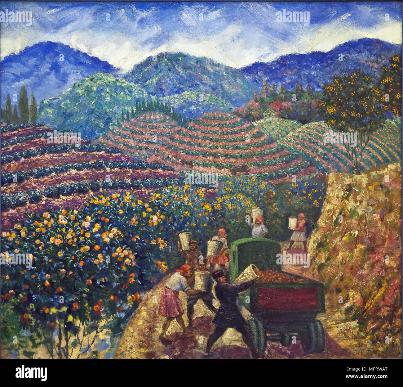 The Harvest in Chakva sovkhoz Stock Photo - Alamy