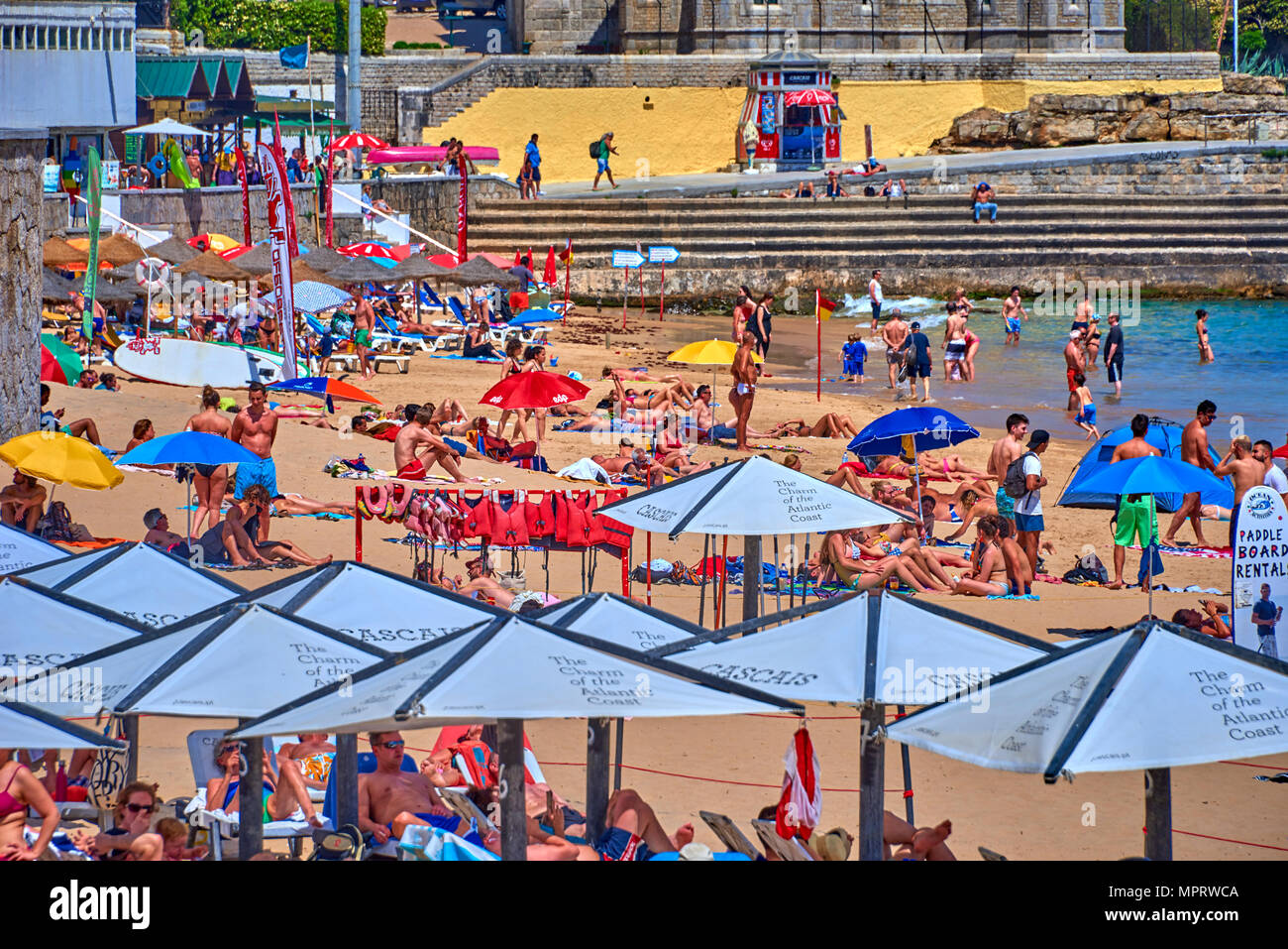 Cascais shells hi-res stock photography and images - Alamy