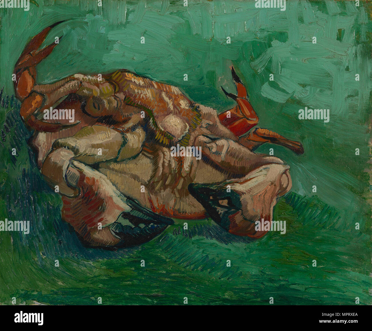 A Crab on its Back Stock Photo - Alamy