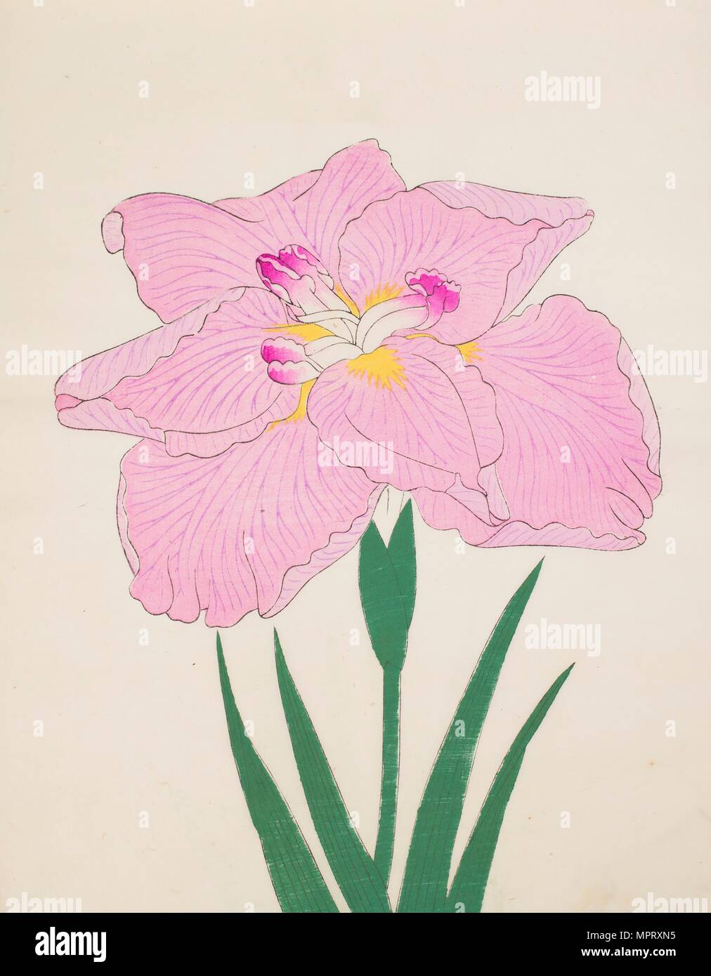 Shu-Fu-Raku, No. 58, 1890, (colour woodblock print Stock Photo - Alamy