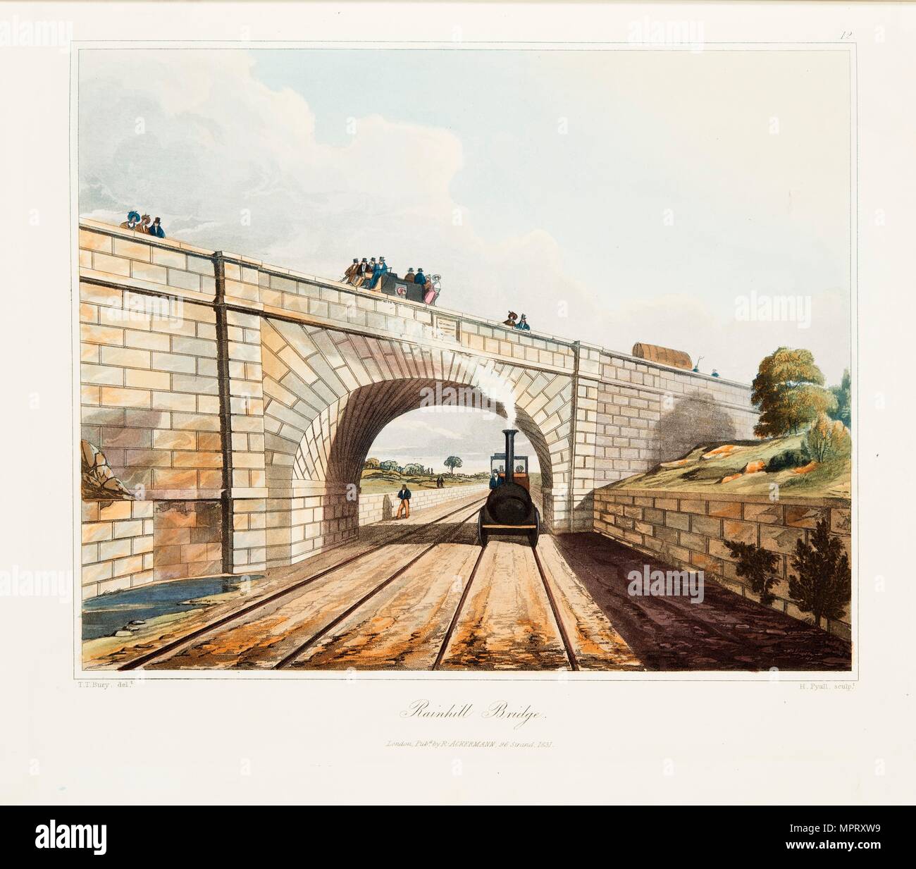 Chat moss hi-res stock photography and images - Alamy