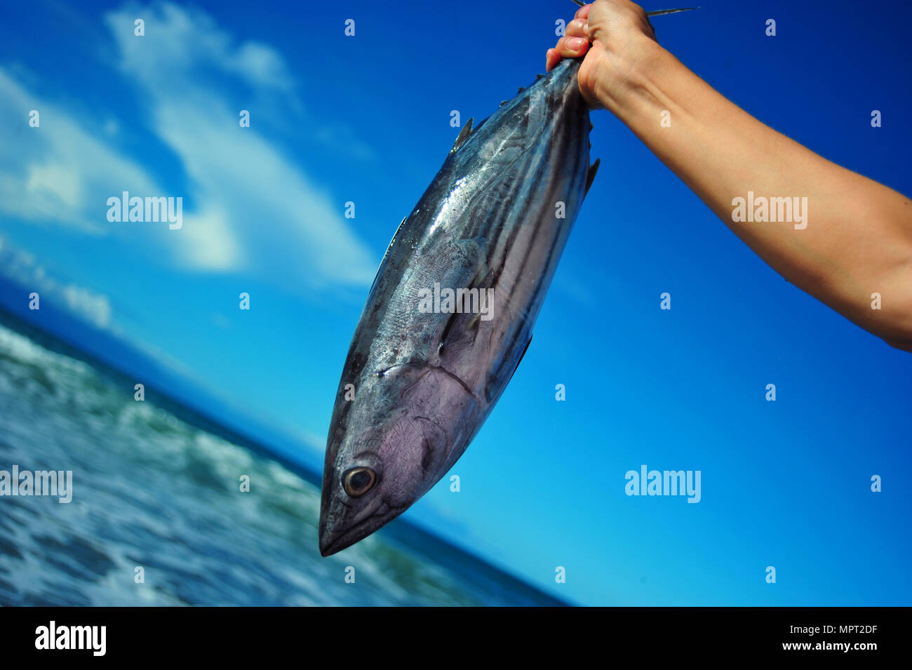 Fishing, Pacific Ocean, Phlippines Stock Photo - Alamy