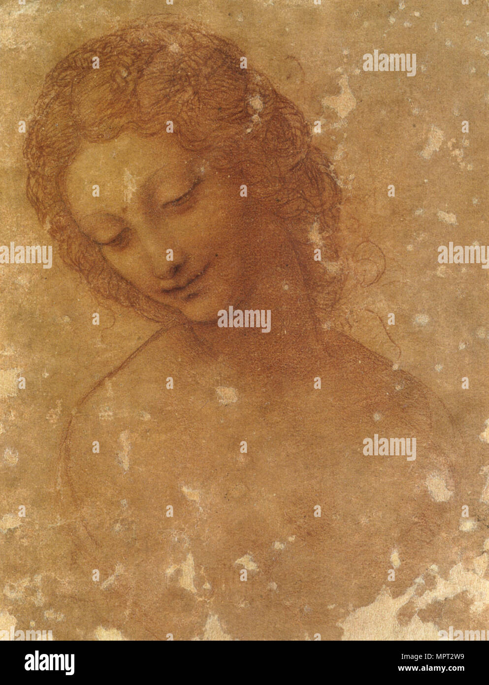 Head of Leda, c. 1510 Stock Photo - Alamy