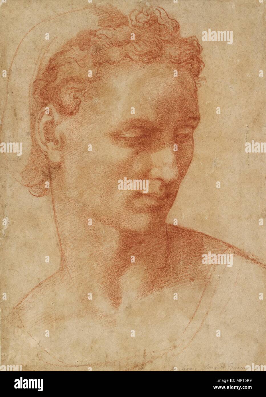 Artist baccio bandinelli hi-res stock photography and images - Alamy