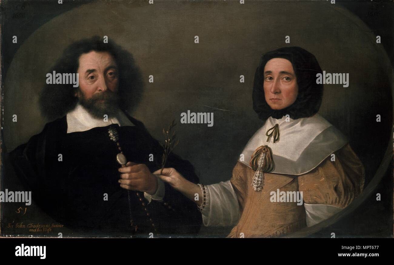 Tradescant hi-res stock photography and images - Alamy