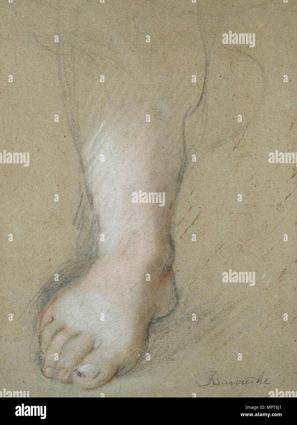 16th century study hi-res stock photography and images - Alamy