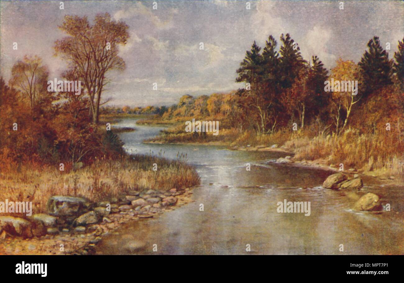 'Canadian Forest Scene', 1924. Artist: Unknown Stock Photo - Alamy