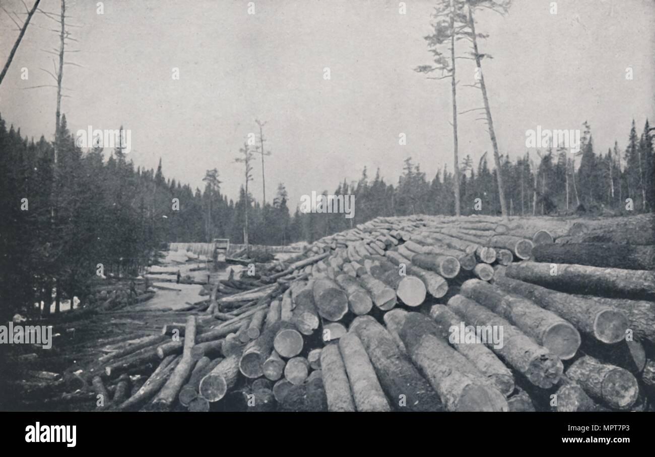 Lumbering history hi-res stock photography and images - Alamy