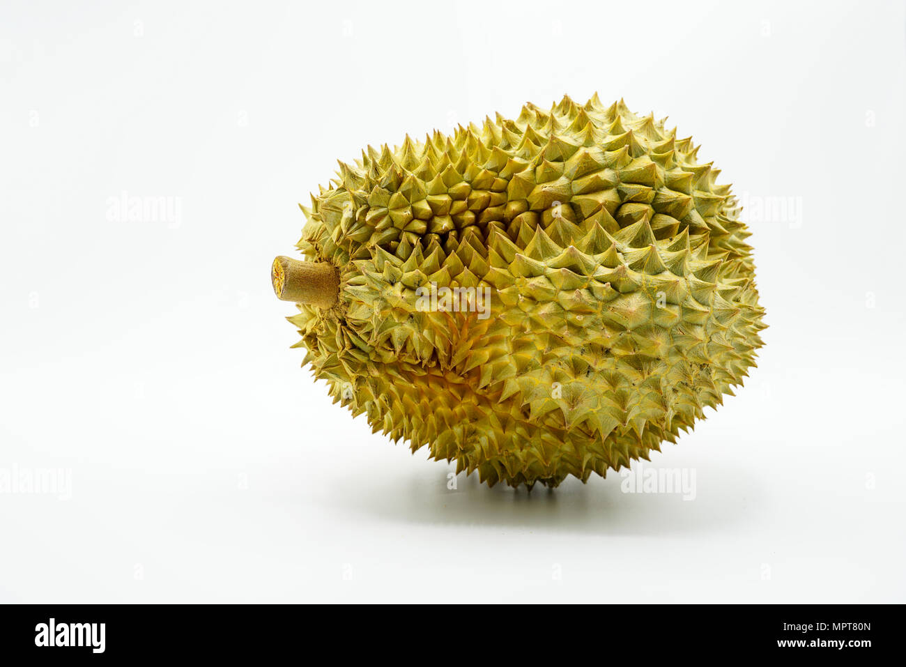 Fresh Cut Monthong Durian on white background,closeup view of Durian ...