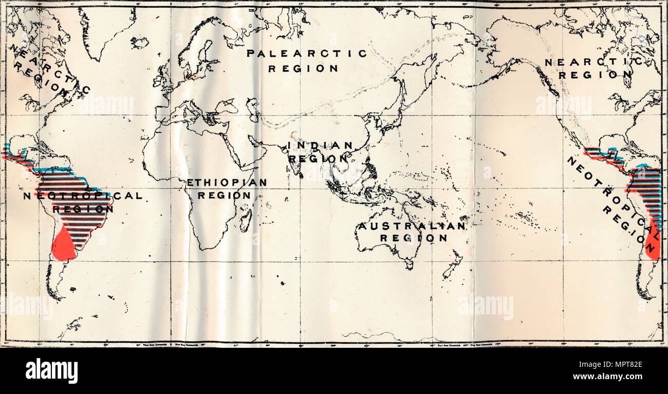 'Anthropoidea - V. Map distribution of Families Hapalidae (Red), and ...