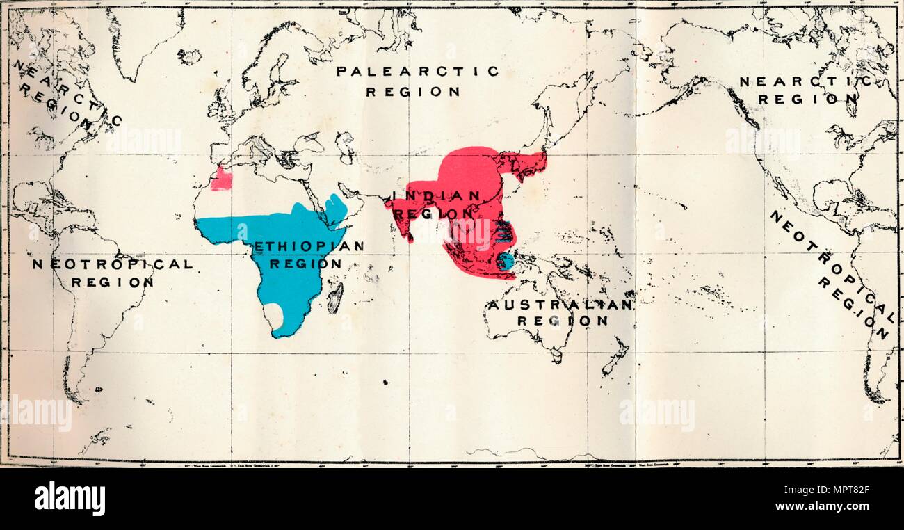 'Anthropoidea - VI. Map distribution of various species (Blue) and ...