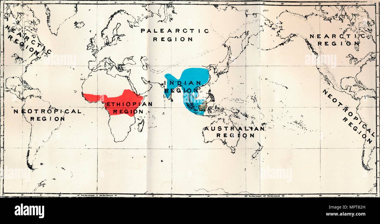 Animal distribution map hi-res stock photography and images - Alamy