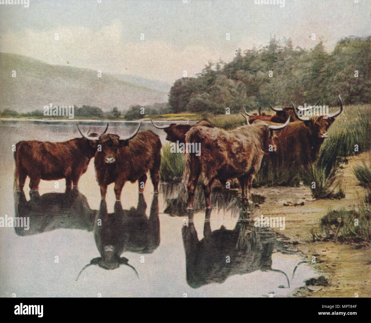 'Scotland', c1930s. Artist: C Reid Stock Photo - Alamy