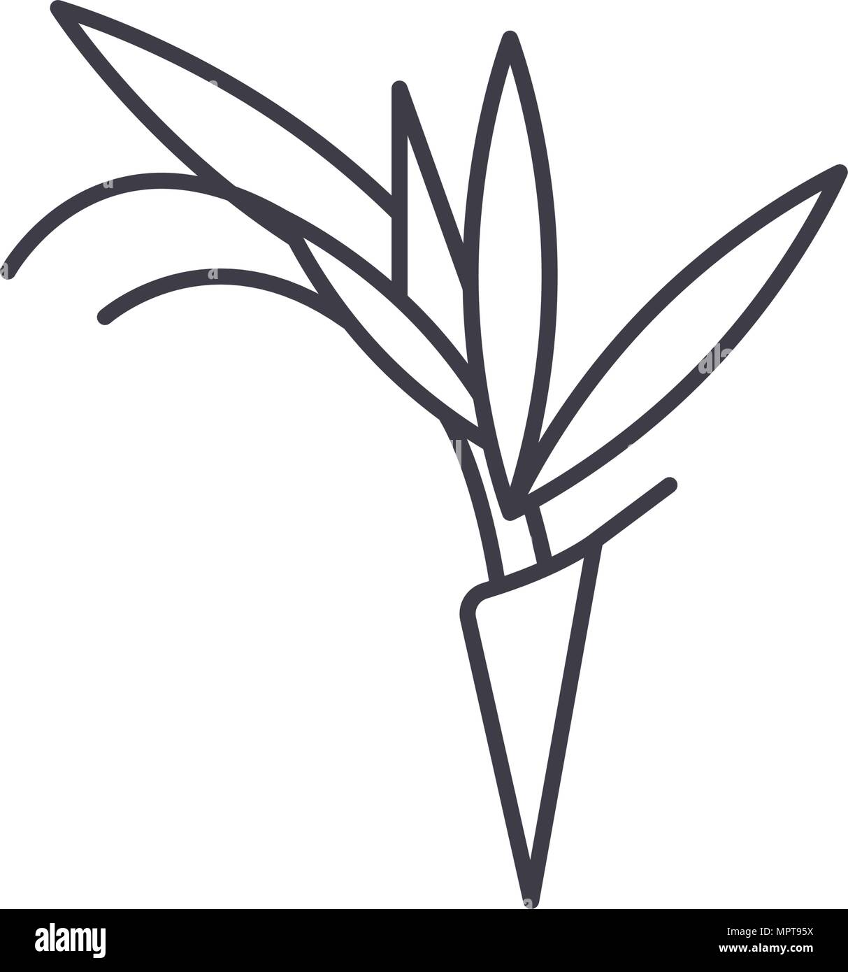 Bird of paradise flower line icon concept. Bird of paradise flower flat ...