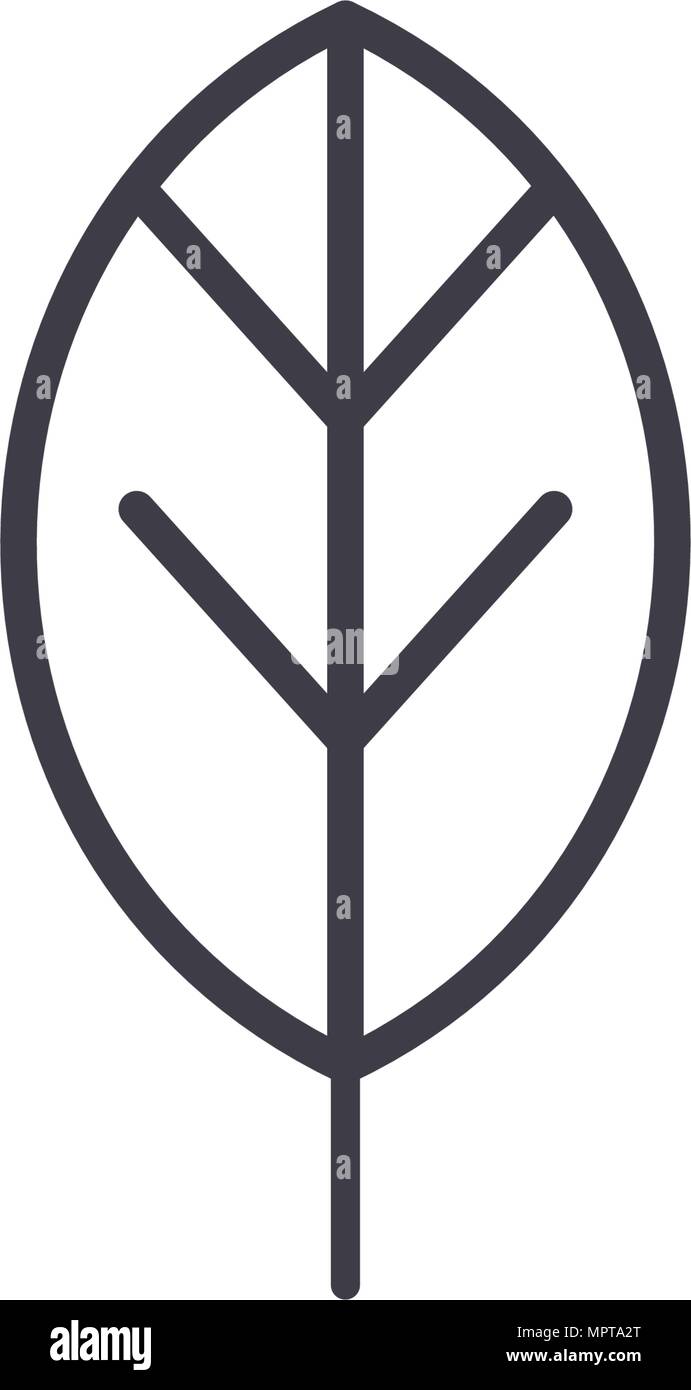 Leaf line icon concept. Leaf flat vector sign, symbol, illustration ...