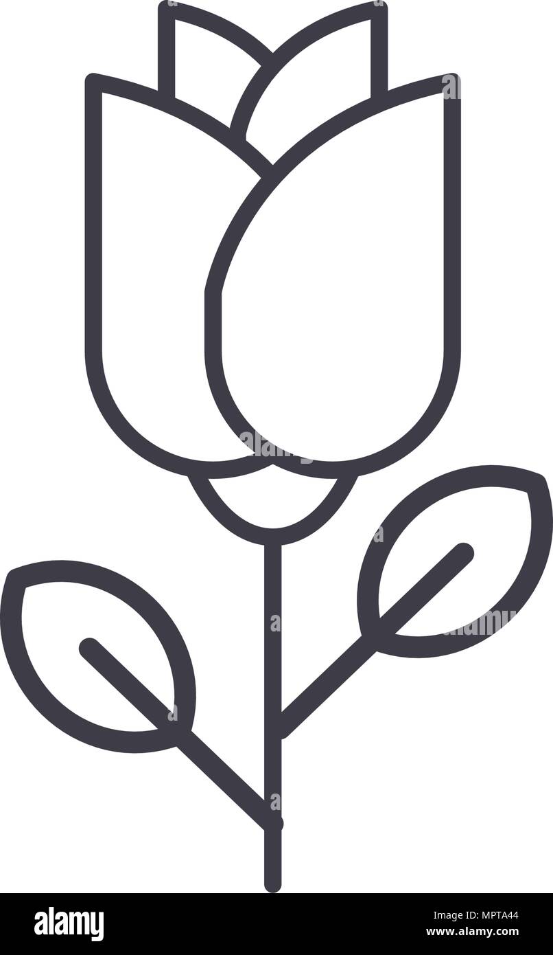 One rose line icon concept. One rose flat vector sign, symbol ...