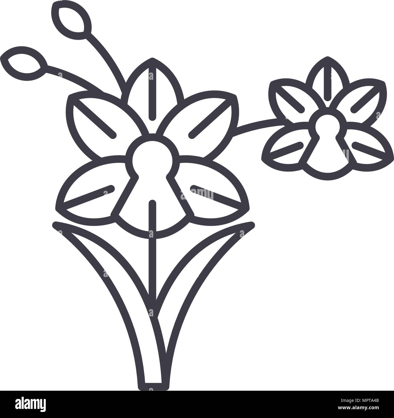Orchid line icon concept. Orchid flat vector sign, symbol, illustration ...