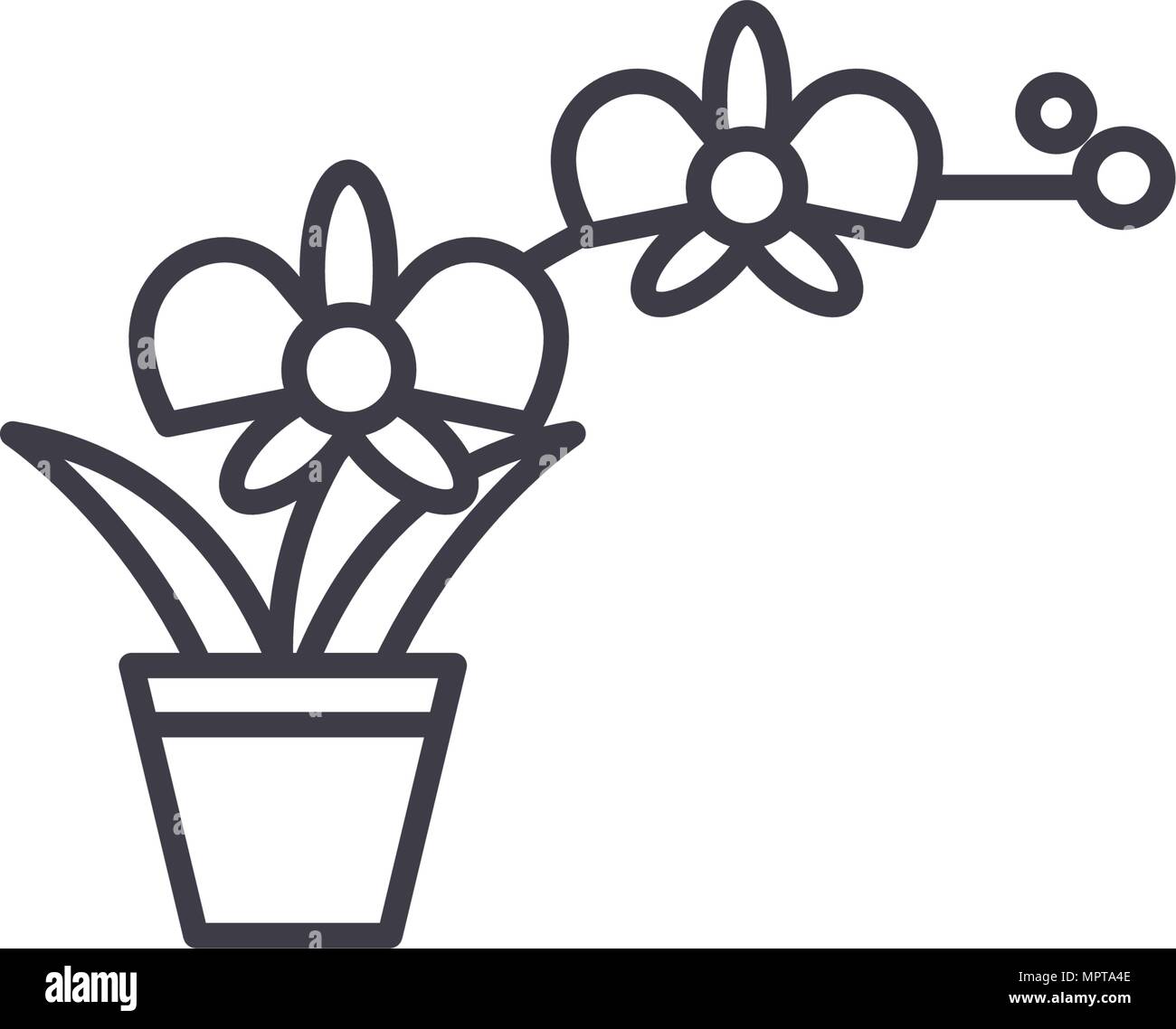 Orchid pot line icon concept. Orchid pot flat vector sign, symbol ...