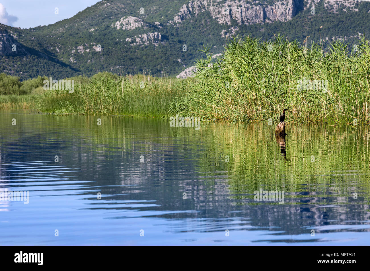 Skadar Lake National Park, Montenegro Stock Photo - Alamy