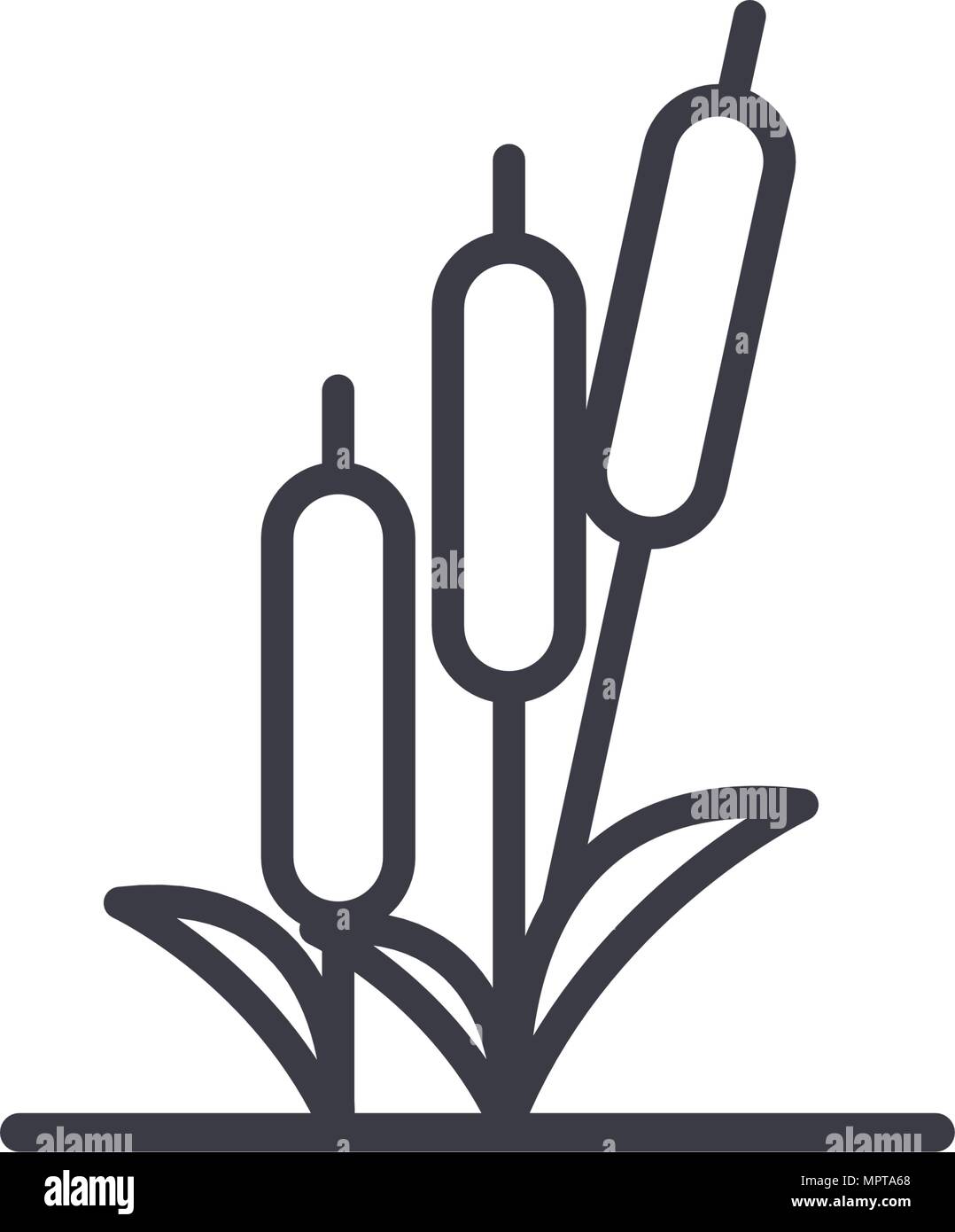 Reed line icon concept. Reed flat vector sign, symbol, illustration ...