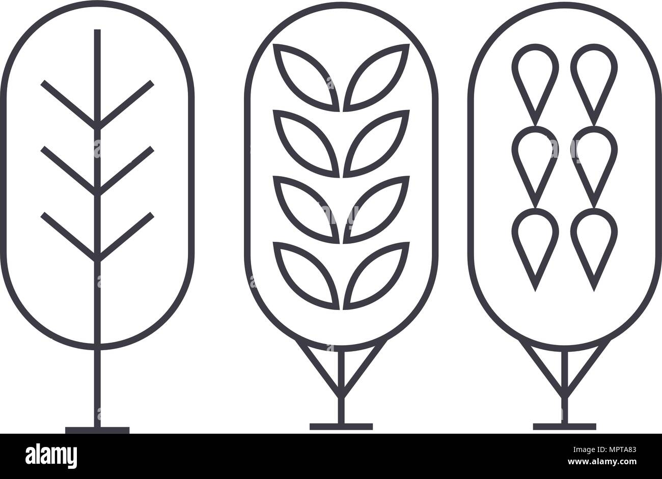 Birch tree thin line icon concept. Birch tree linear vector sign ...