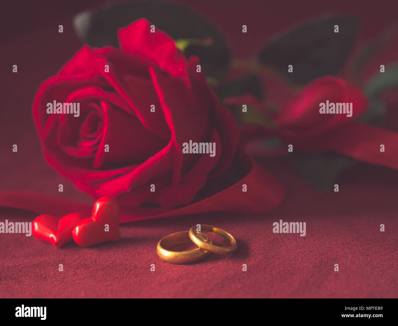 Low key roses hi-res stock photography and images - Alamy