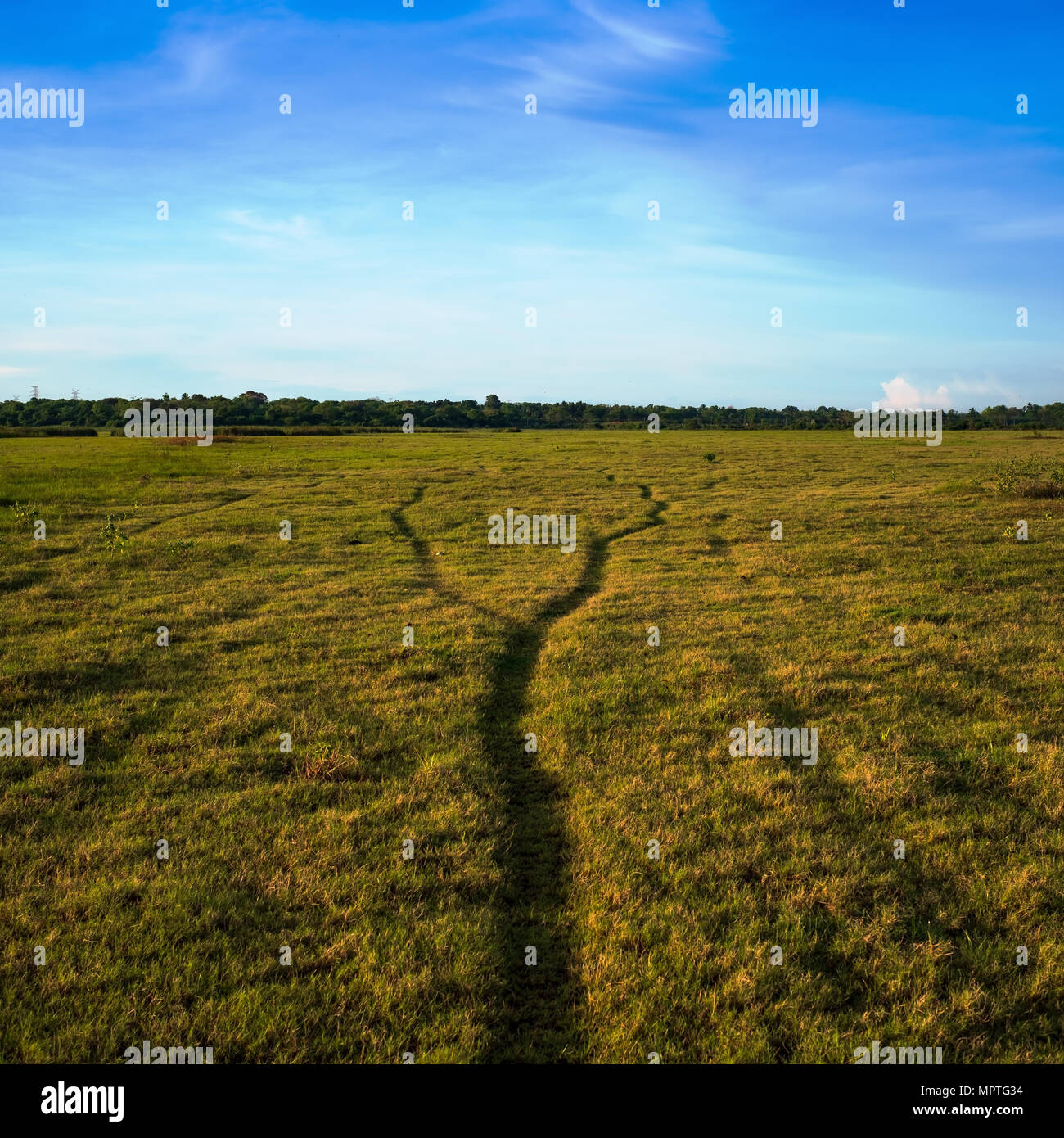 Two paths hi-res stock photography and images - Alamy