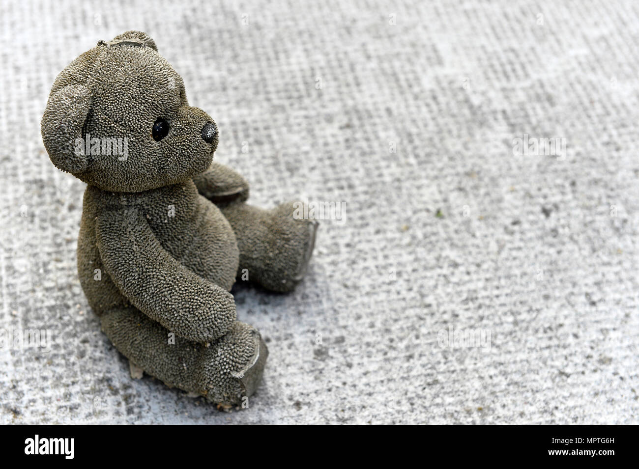Teddy Bear on a grave - Montmartre cemetery - Paris 18th - France Stock ...