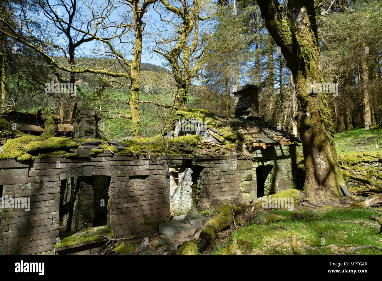 Ratgoed pronounced Yr Allt Goed in native Welsh, is an abandoned slate ...