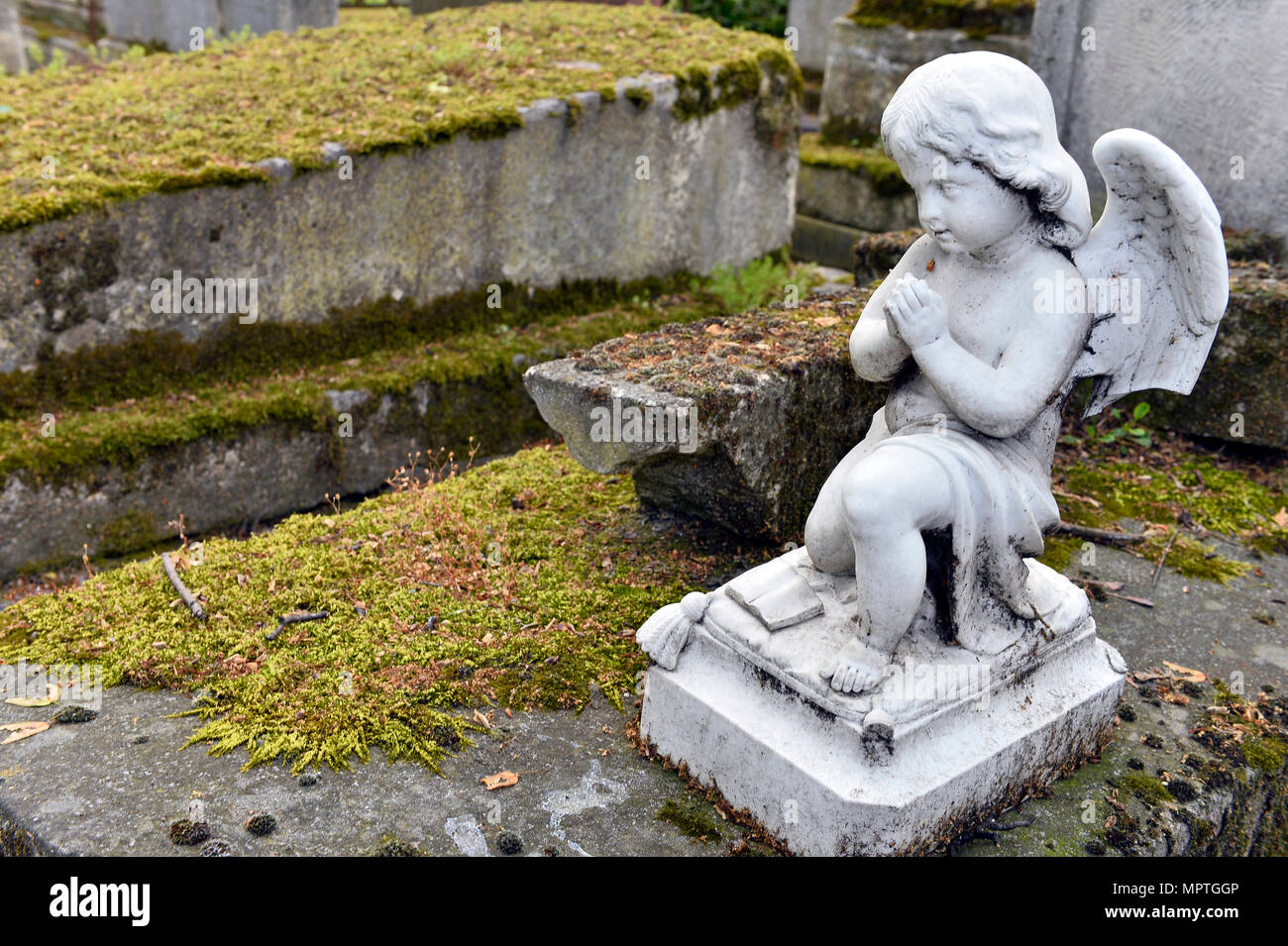 Angel on a grave - Montmartre cemetery - Paris 18th - France Stock ...