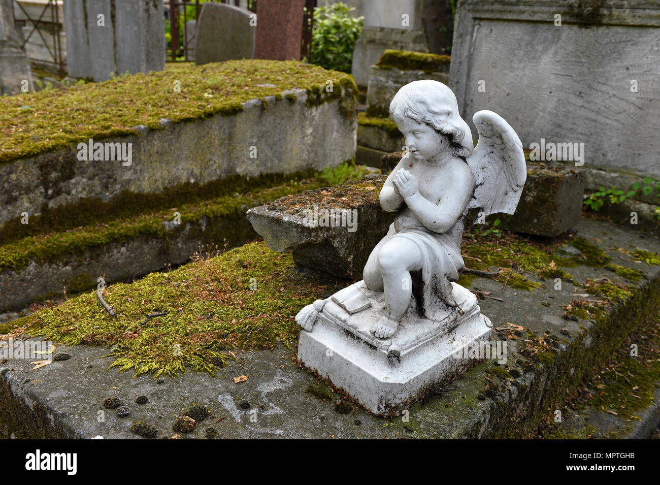 Angel on a grave - Montmartre cemetery - Paris 18th - France Stock ...