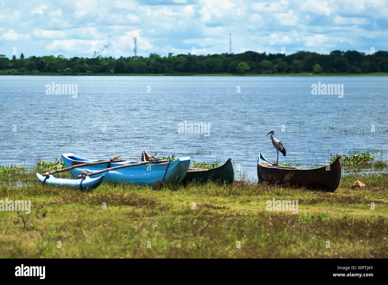 Clean boat on water hi-res stock photography and images - Alamy