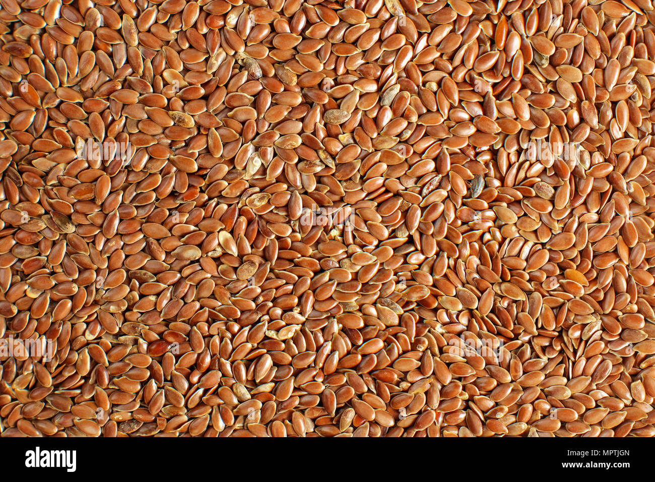 Linum usitatissimum seeds hi-res stock photography and images - Alamy